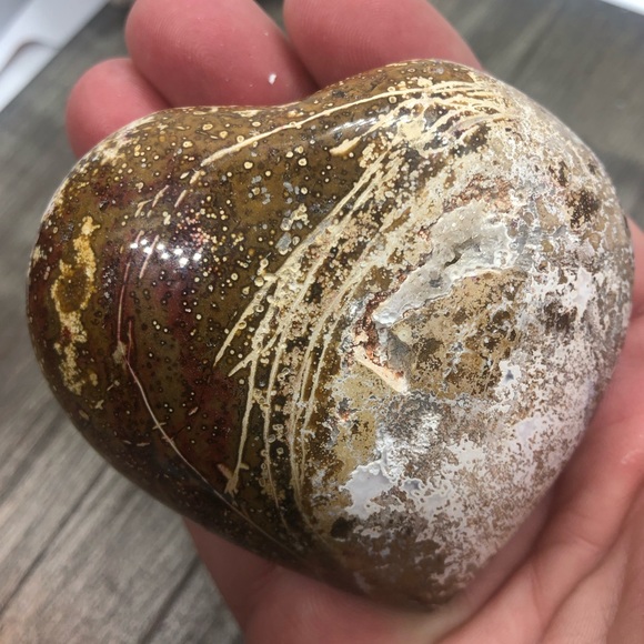 Accents | Rare Ocean Jasper W Natural Geode Specks Agate | Poshmark